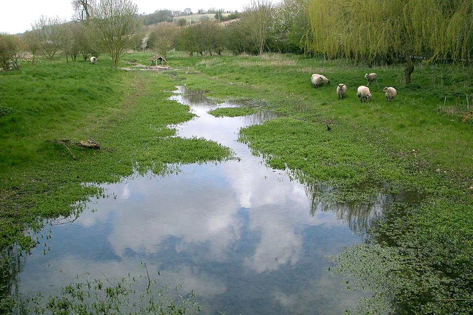 Equality Impact Assessment Form